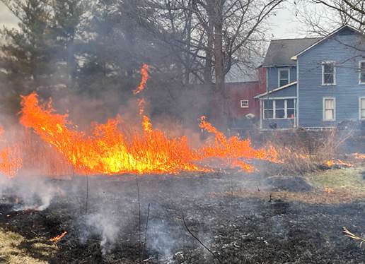 Walk on the Wild Side, The Property of Kathy & Ders Anderson, Saturday ...