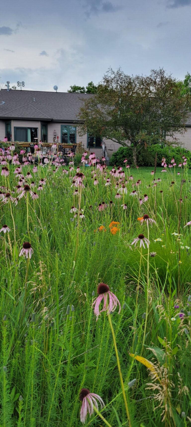 Walk on the Wild Side, The property of Stacy & Mike Iwanicki, Saturday ...