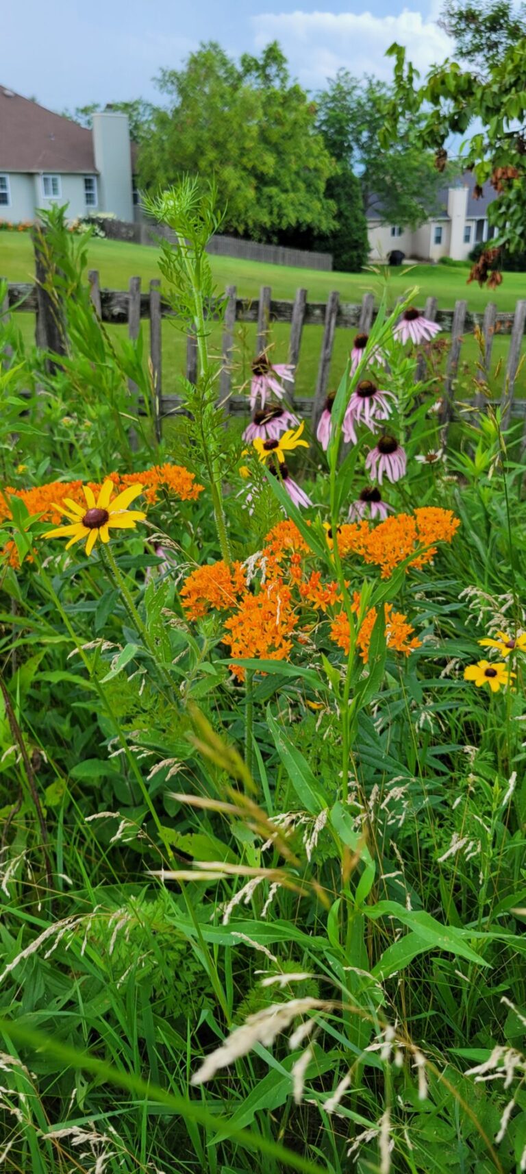 Walk on the Wild Side, The property of Stacy & Mike Iwanicki, Saturday ...