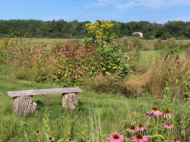 Walk on the Wild Side in a Bull Valley Prairie, Sunday, July 26, 2026 ...