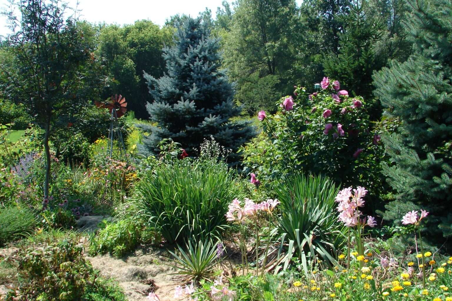 Walk on the Wild Side-Locknar Property, Saturday, June 27, 2026, 10am ...